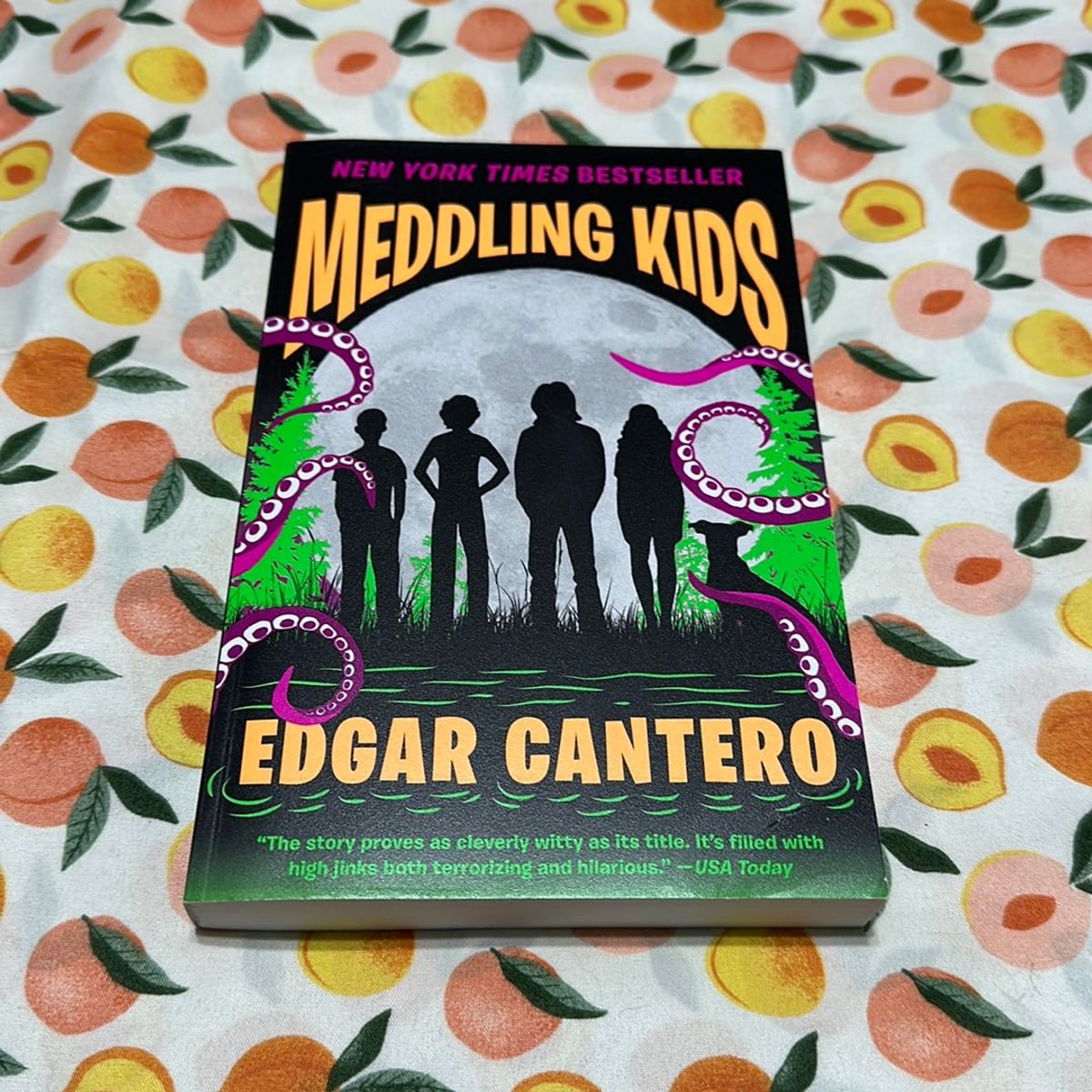 Meddling Kids by Edgar Cantero, Paperback | Pangobooks