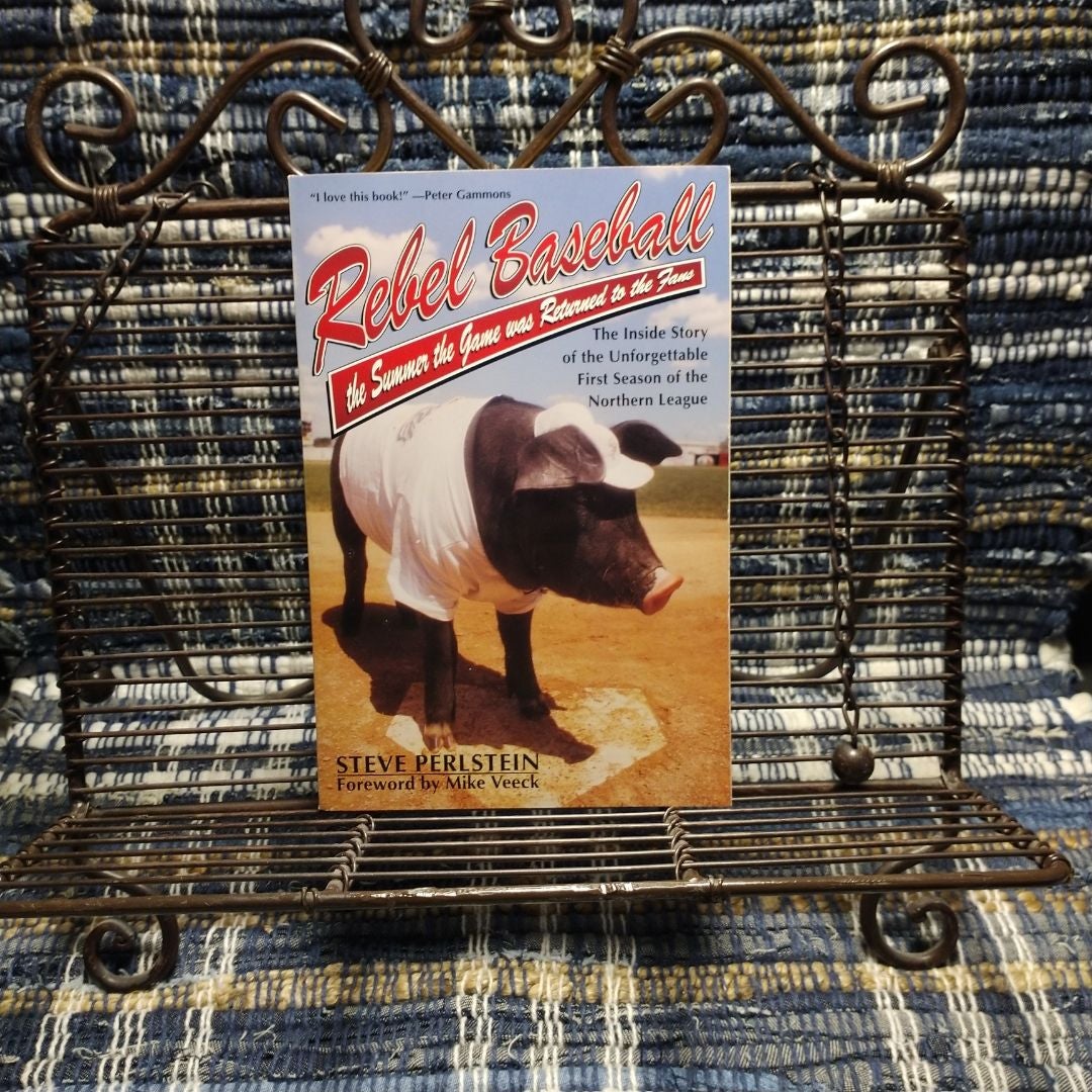 Rebel Baseball by Steve Perlstein