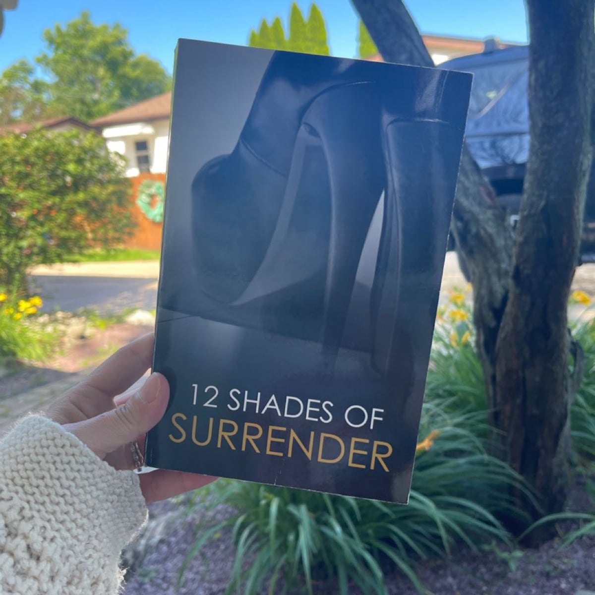 12 Shades of Surrender by Anne Calhoun, Adelaide Cole, Emelia Elmwood ...