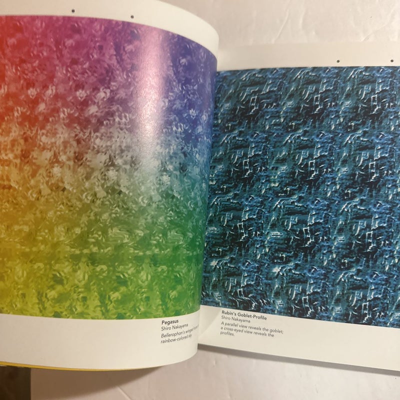 Stereogram by Christopher W. Tyler, Howard Rheingold