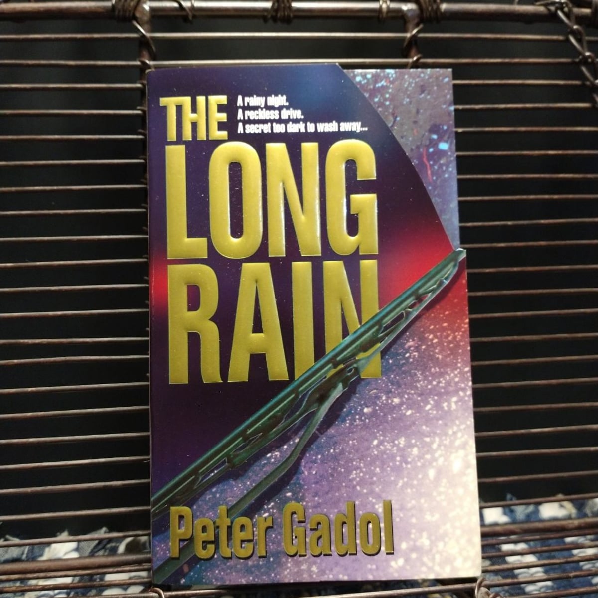 The Long Rain by Peter Gadol