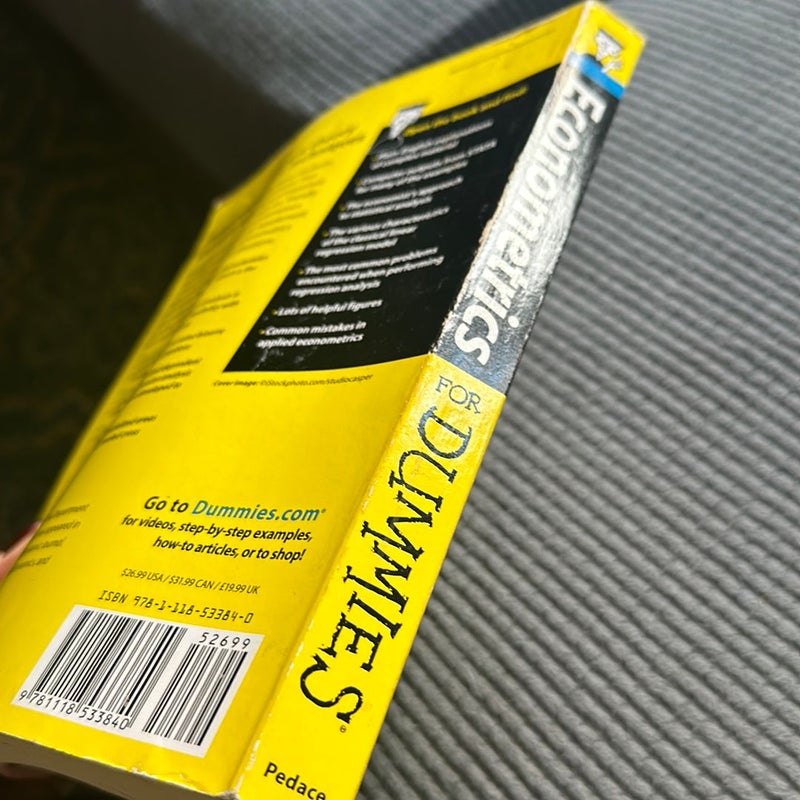 Econometrics for Dummies by Roberto Pedace, Paperback | Pangobooks