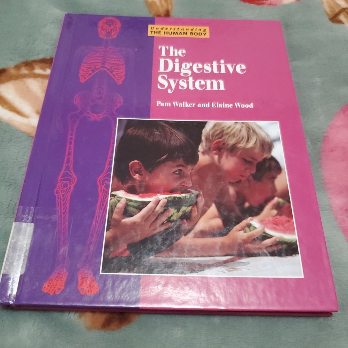 The Digestive System by Pam Walker, Elaine Wood