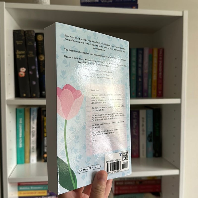 Dear Ava by Ilsa Madden-Mills, Paperback | Pangobooks