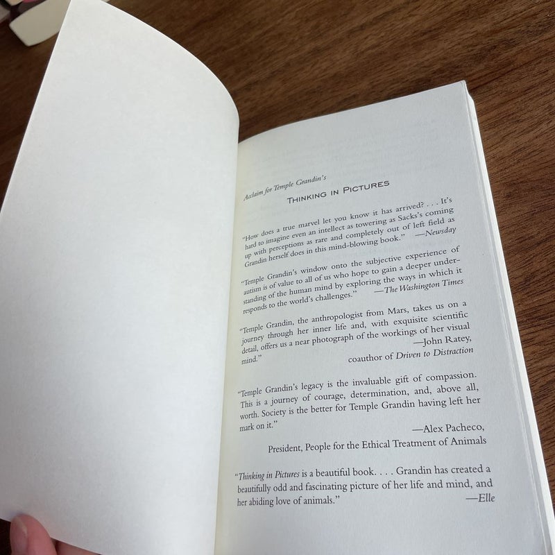 Thinking in Pictures