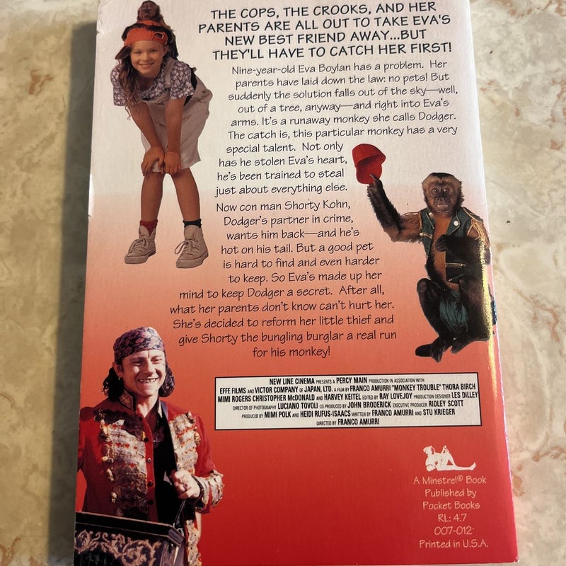 Monkey Trouble by Ellen Leroe