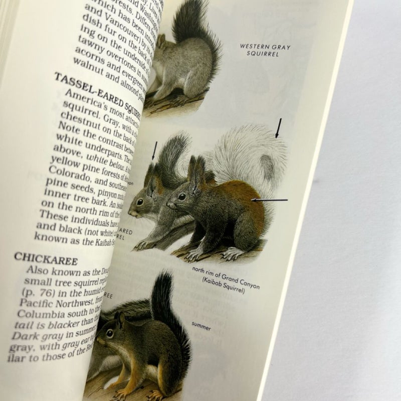 Peterson First Guide to Mammals by Peter Alden