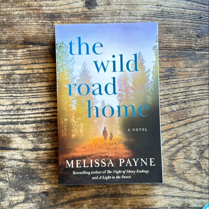 The Wild Road Home by Melissa Payne