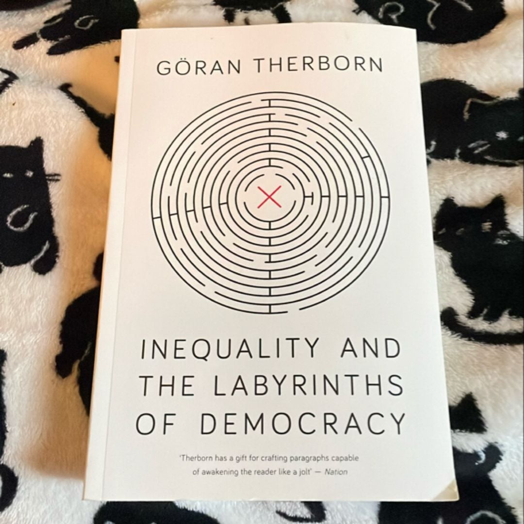 Inequality and the Labyrinths of Democracy by Goran Therborn, Paperback ...