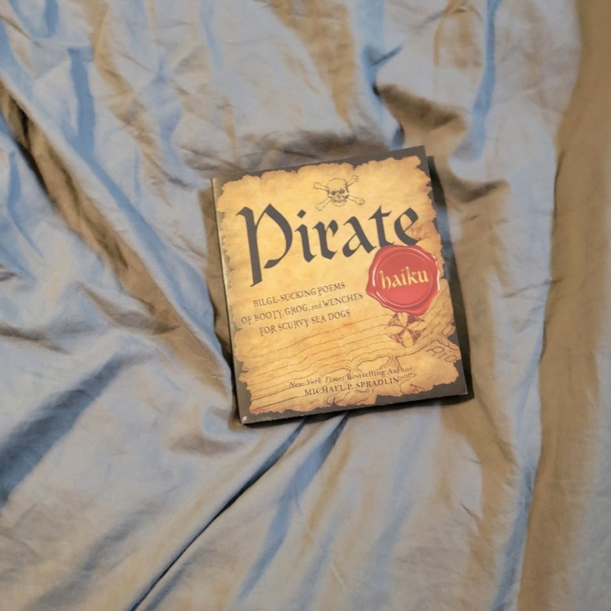 Pirate Haiku by Michael P Spradlin, Paperback | Pangobooks