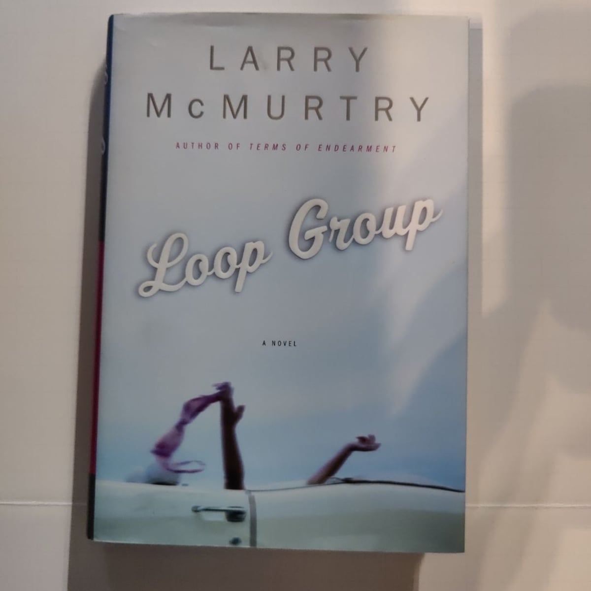 Loop Group by Larry McMurtry