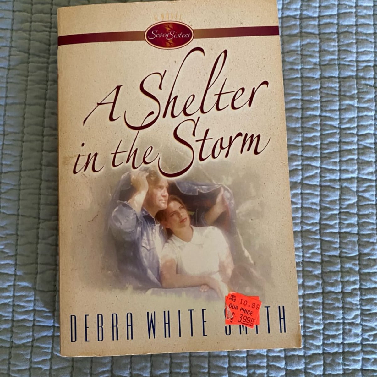A Shelter in the Storm by Debra White Smith