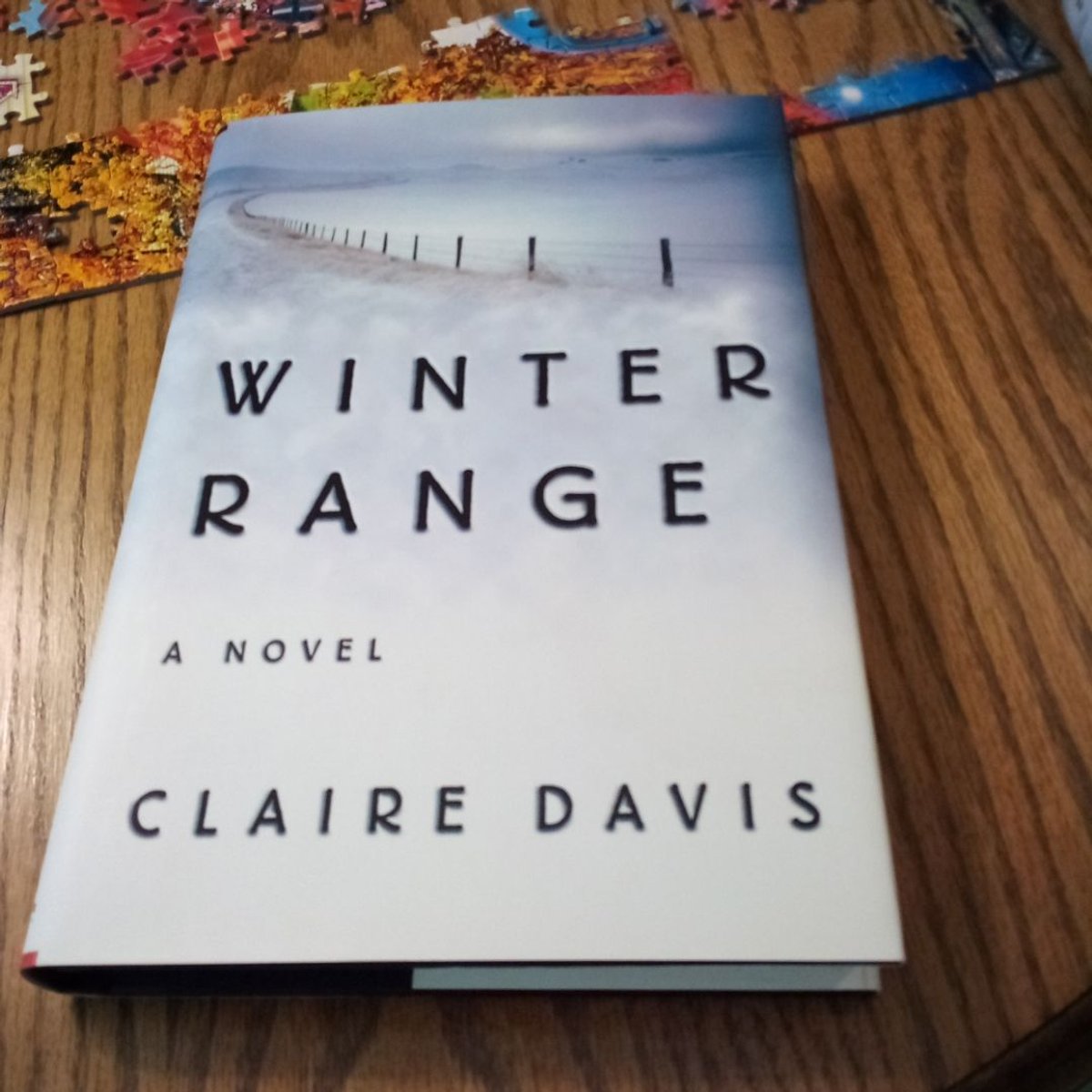Winter Range by Claire Davis