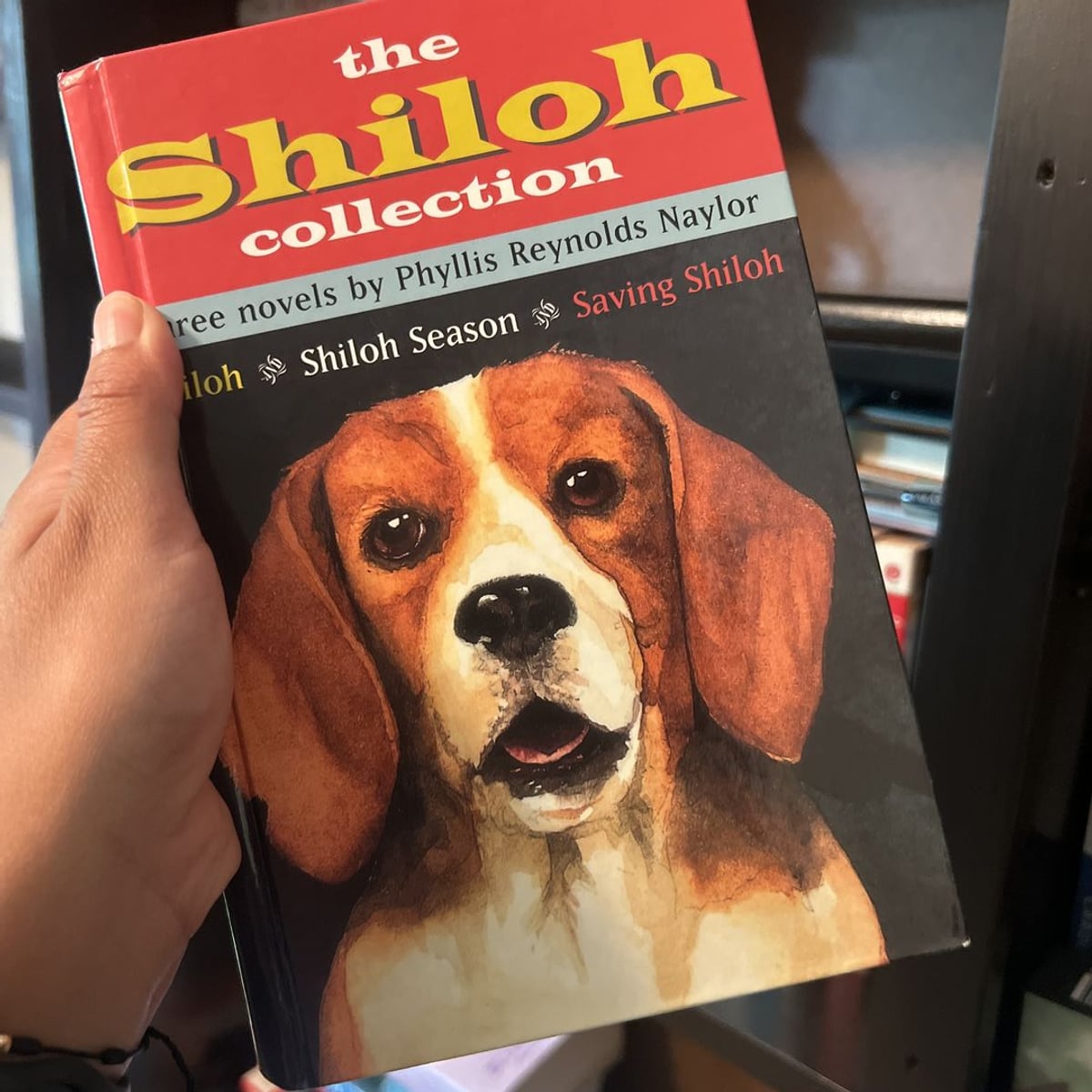 Shiloh Collection by Phyllis Reynolds Taylor , Hardcover | Pangobooks