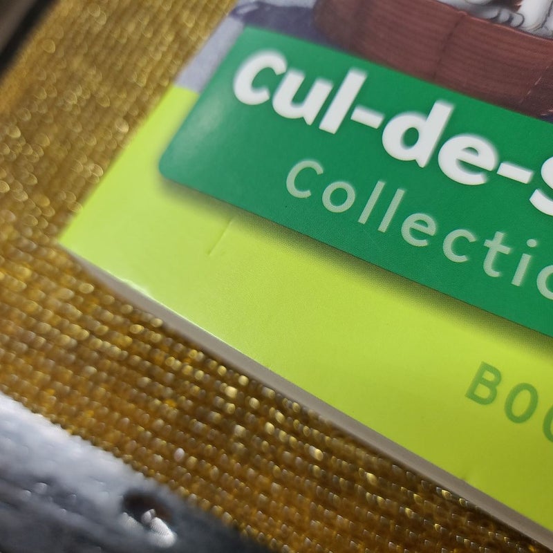 Cul-De-Sac Kids Collection Four by Beverly Lewis, Paperback | Pangobooks