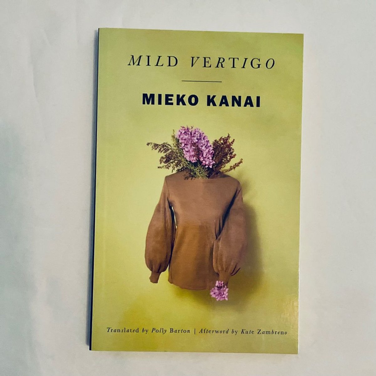 Mild Vertigo by Mieko Kanai, Polly Barton, Kate Zambreno
