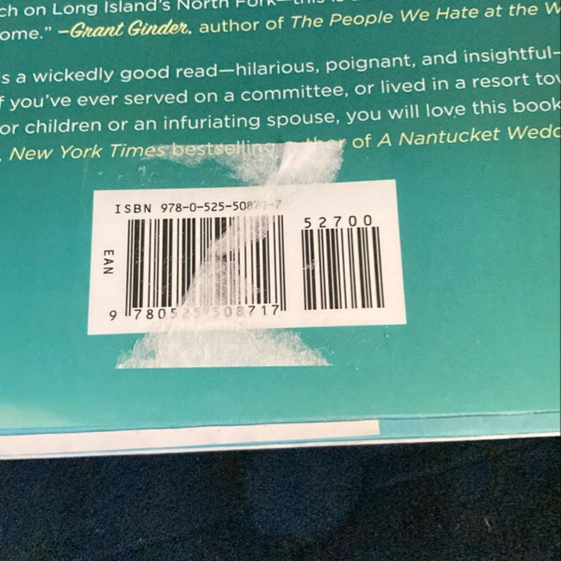 The High Season by Judy Blundell