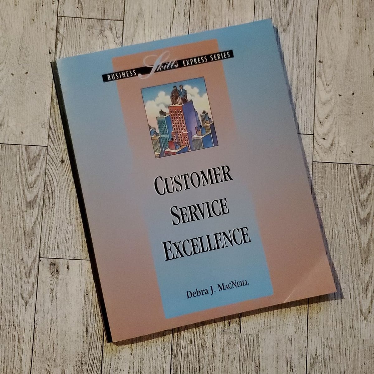 Customer Service Excellence by Debra J. MacNeill, Paperback | Pangobooks