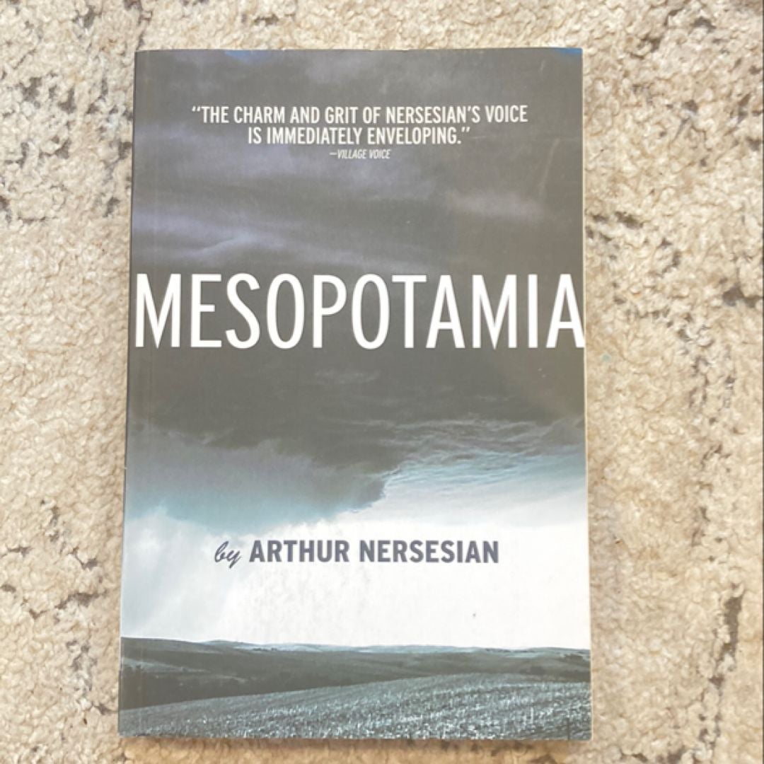 Mesopotamia by Arthur Nersesian