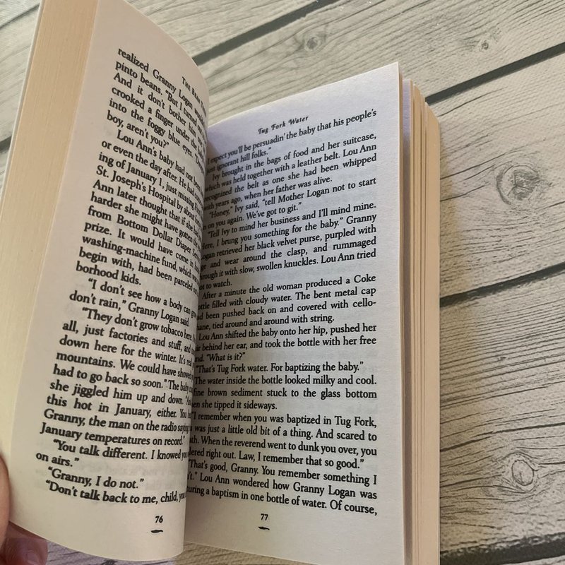 The Bean Trees by Barbara Kingsolver