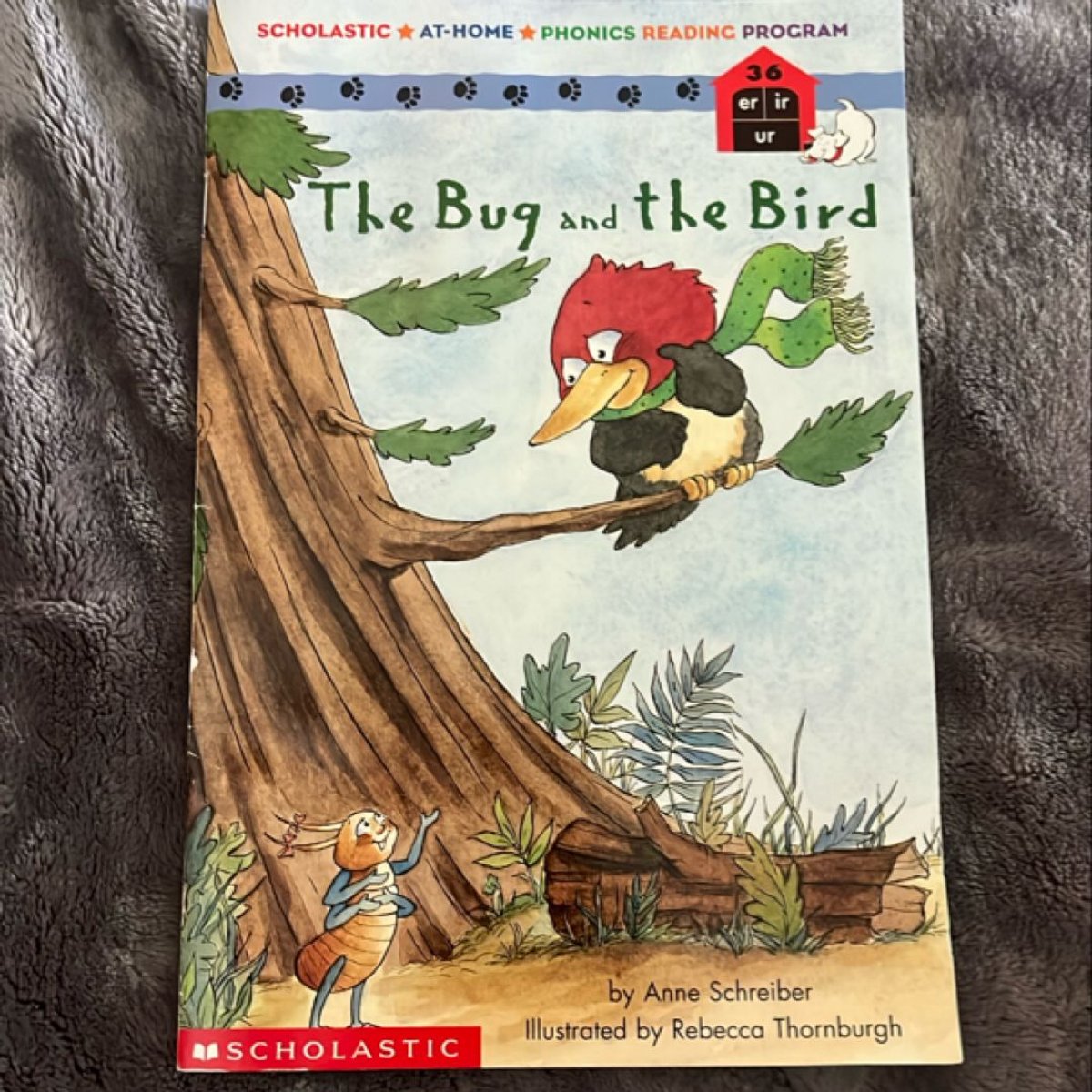 The Bug and the Bird by Anne Schreiber