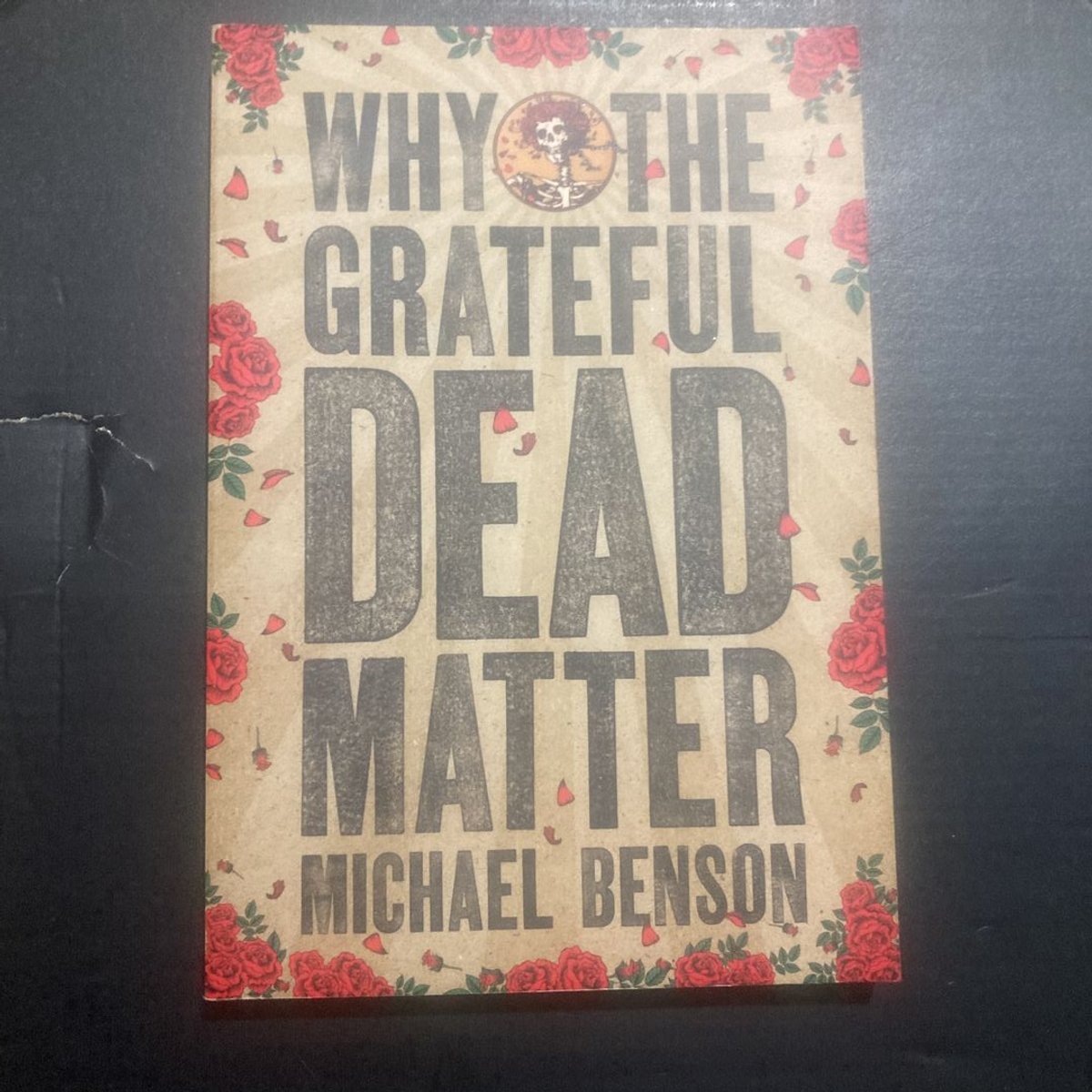 Why the Grateful Dead Matter by Michael Benson