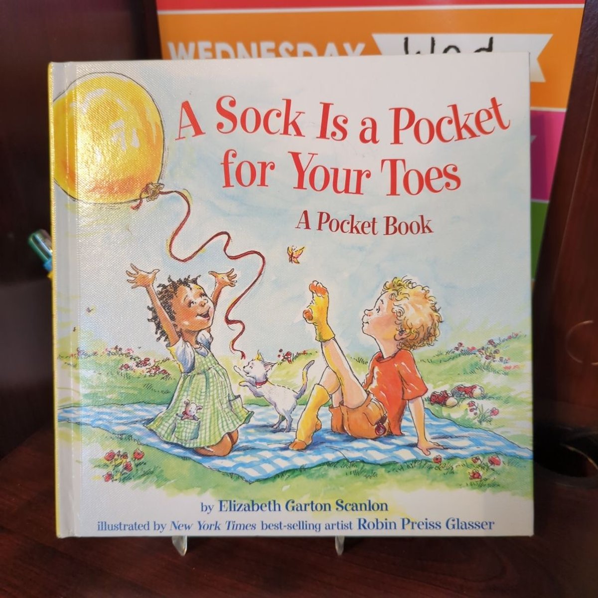 A Sock Is a Pocket for Your Toes by Liz Garton Scanlon