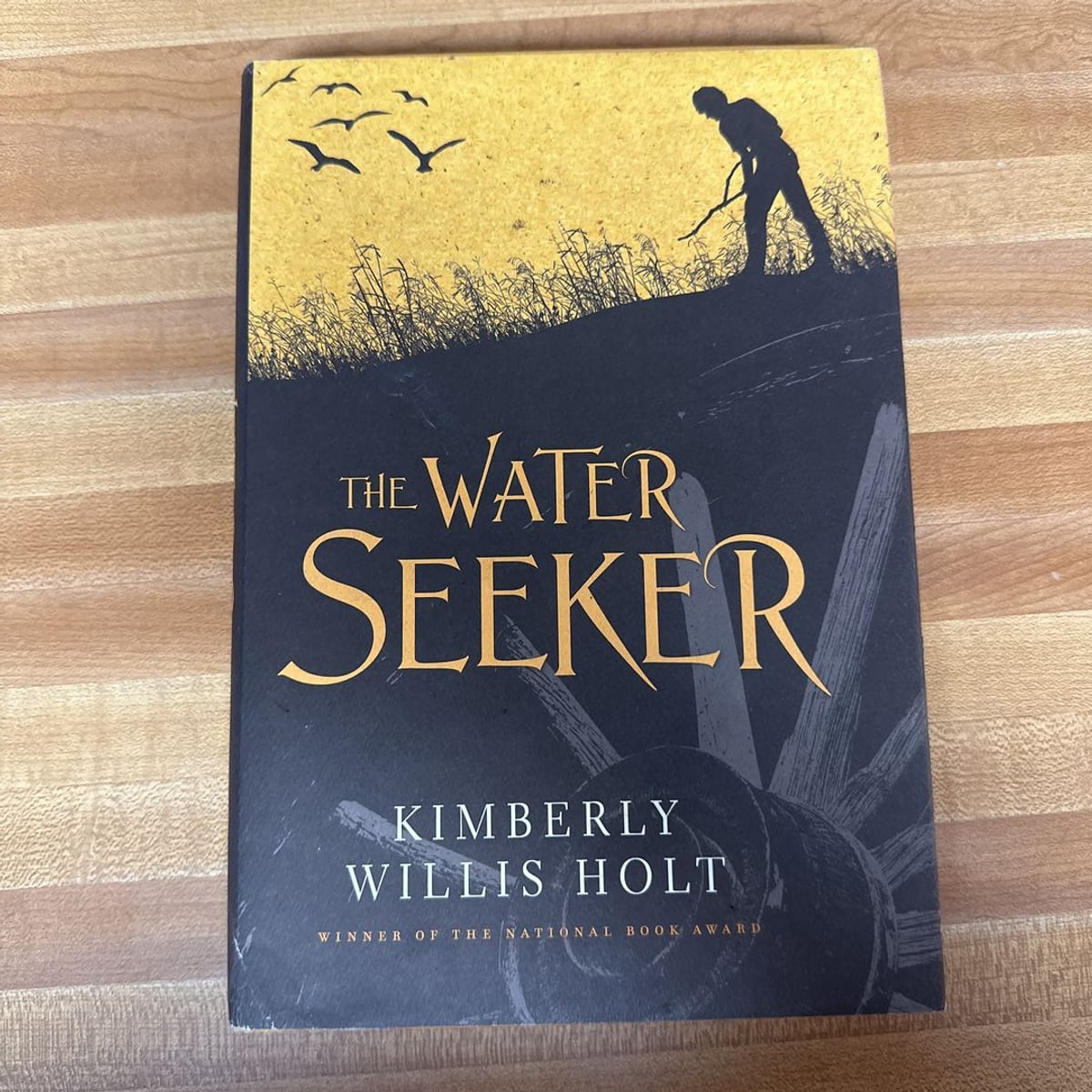 The Water Seeker by Kimberly Willis Holt, Hardcover | Pangobooks