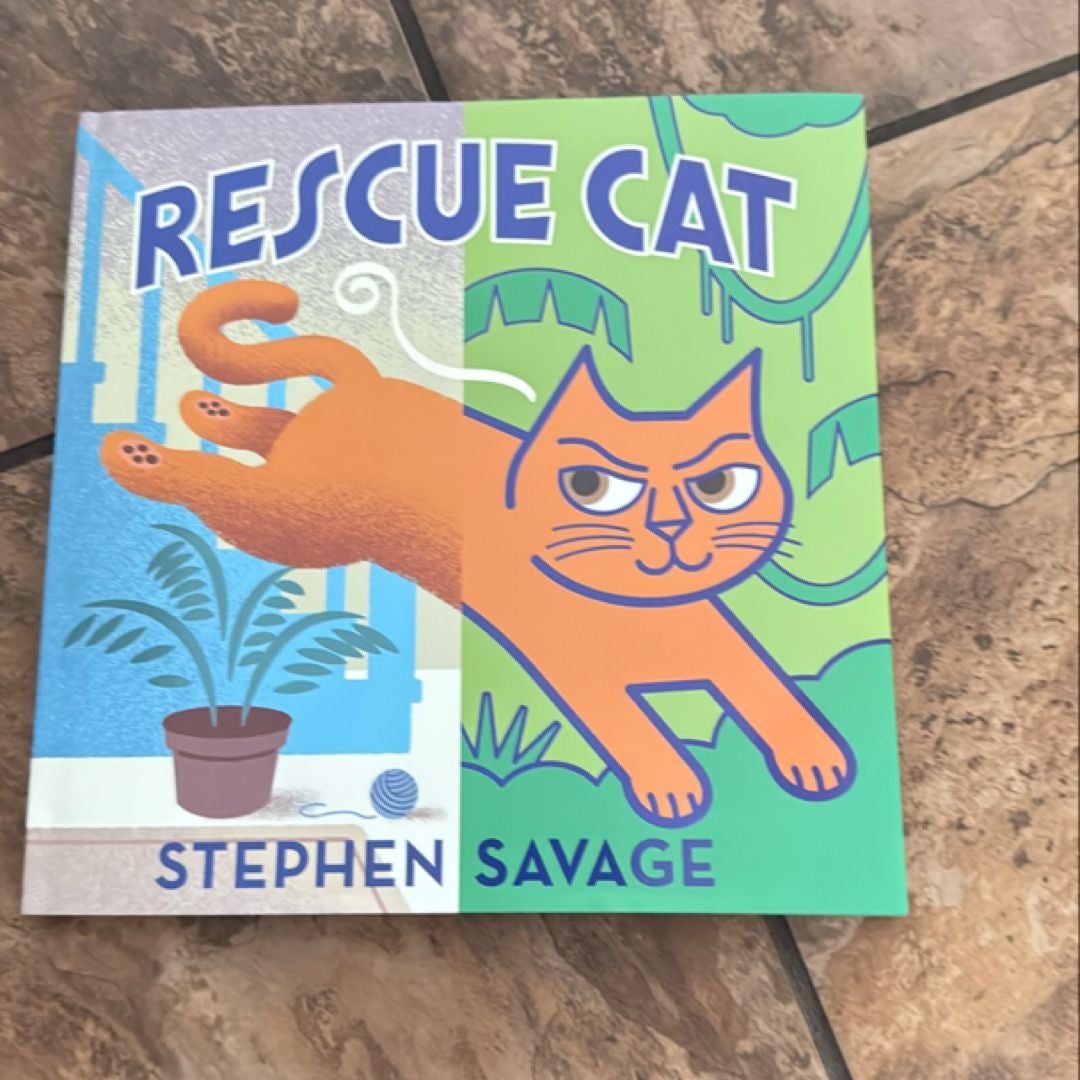 Rescue Cat by Stephen Savage