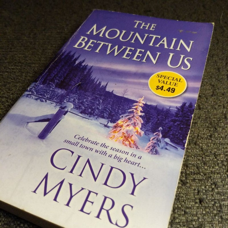 The Mountain Between Us by Cindy Myers, Paperback | Pangobooks