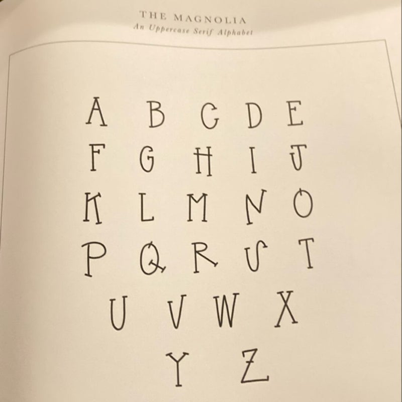 Pretty Simple Lettering: Modern Calligraphy & Hand Lettering for ...