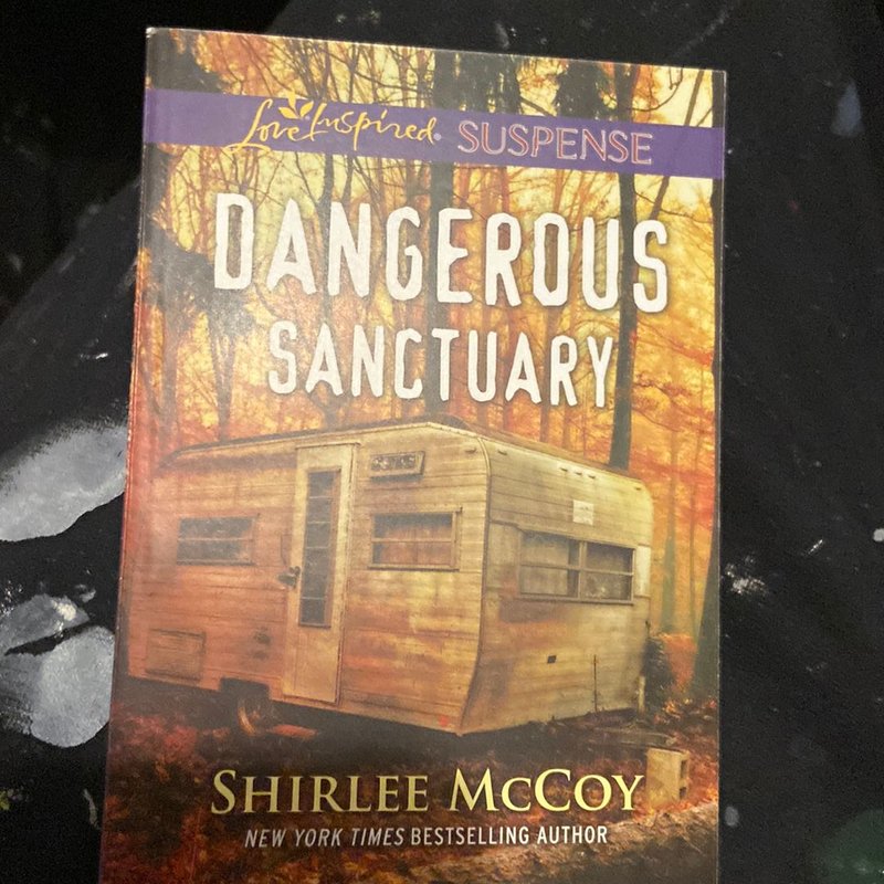 Dangerous Sanctuary by Shirlee McCoy