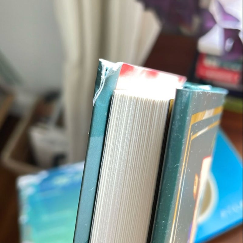 The Lost Library by Rebecca Stead, Wendy Mass