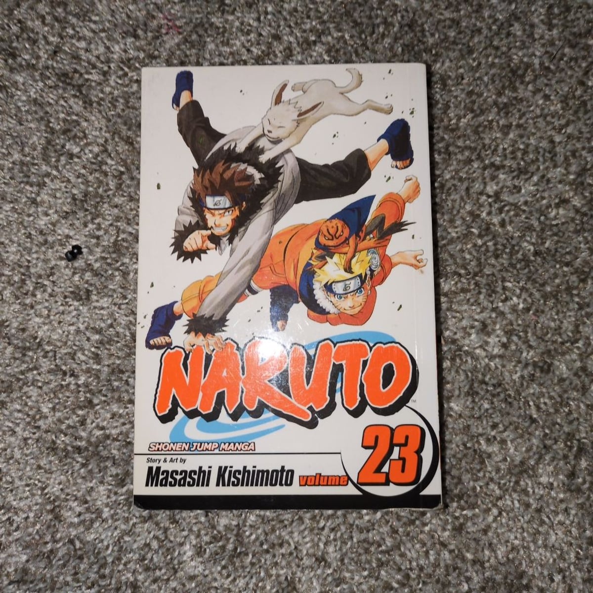 Naruto, Vol. 23 by Masashi Kishimoto