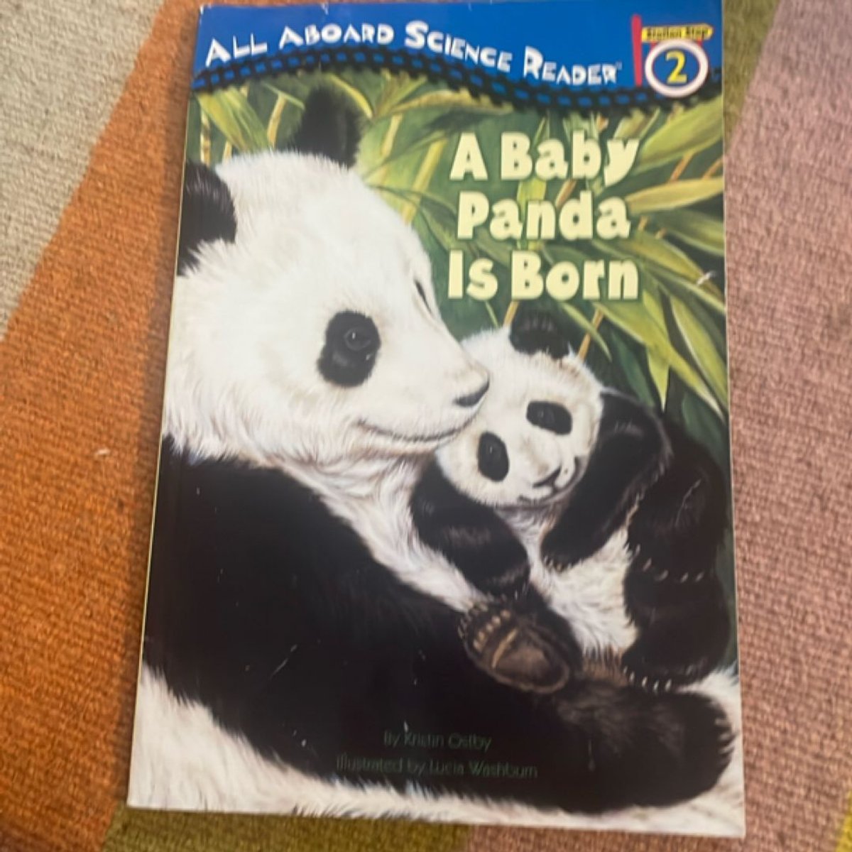 A Baby Panda Is Born by Kristin Ostby
