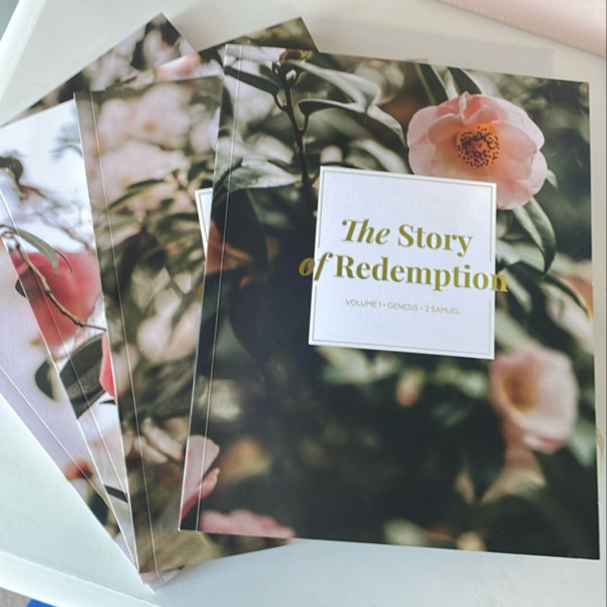 The Story of Redemption Vol. 1 by The Daily Grace Co.