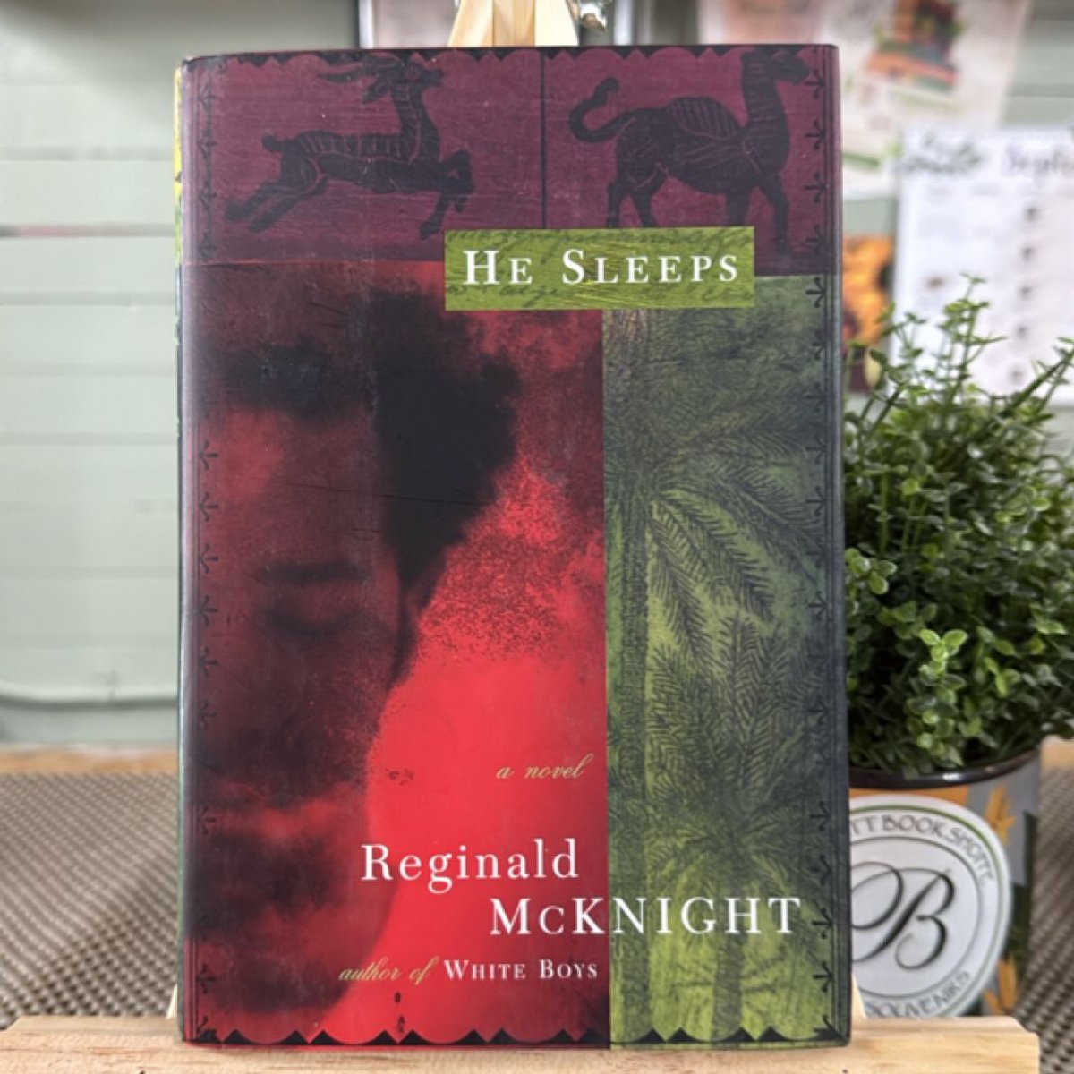 He Sleeps by Reginald McKnight