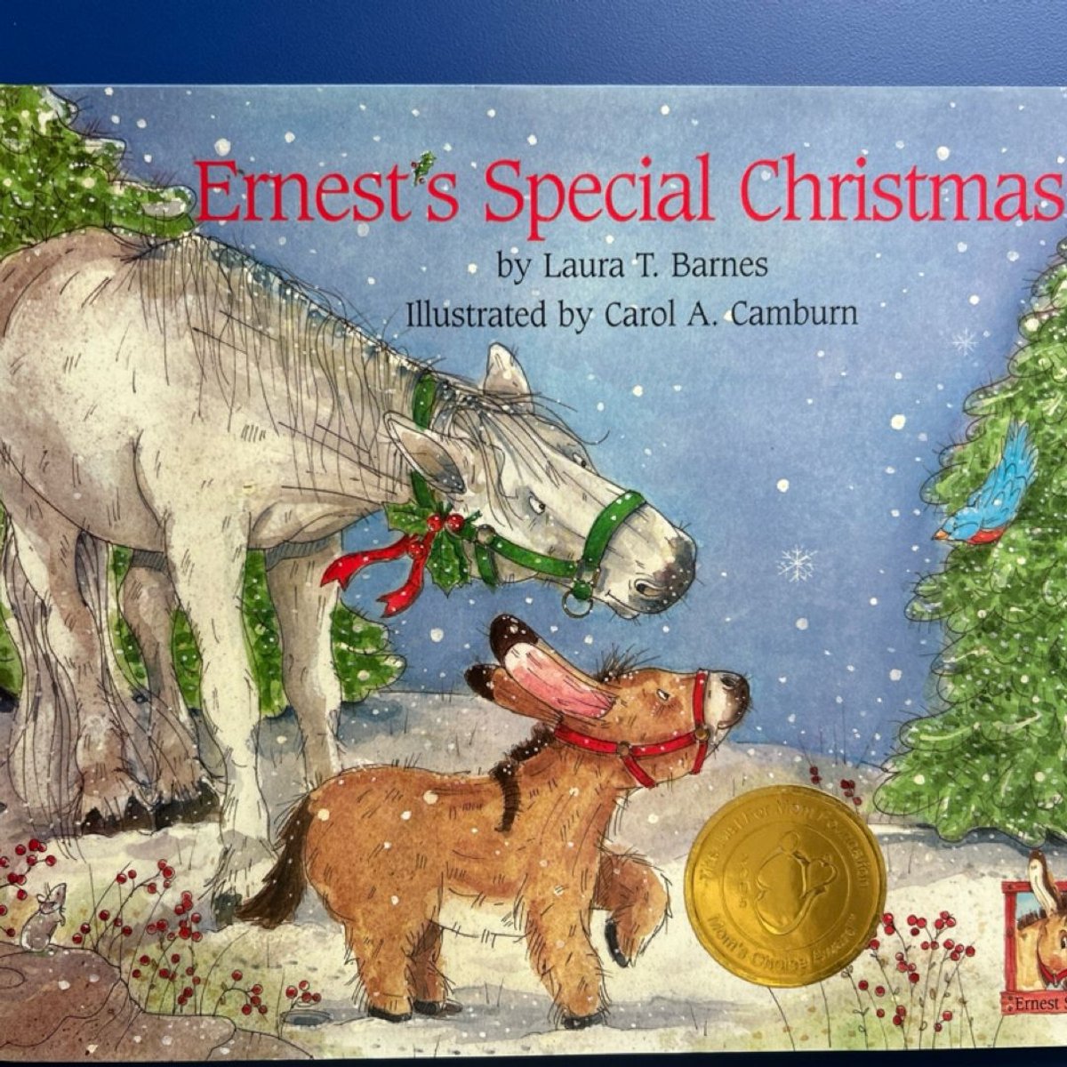 Ernest's Special Christmas by Laura T. Barnes