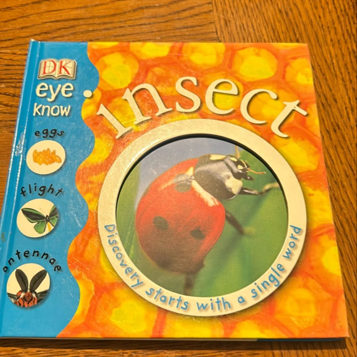 Insect by Dorling Kindersley Publishing Staff