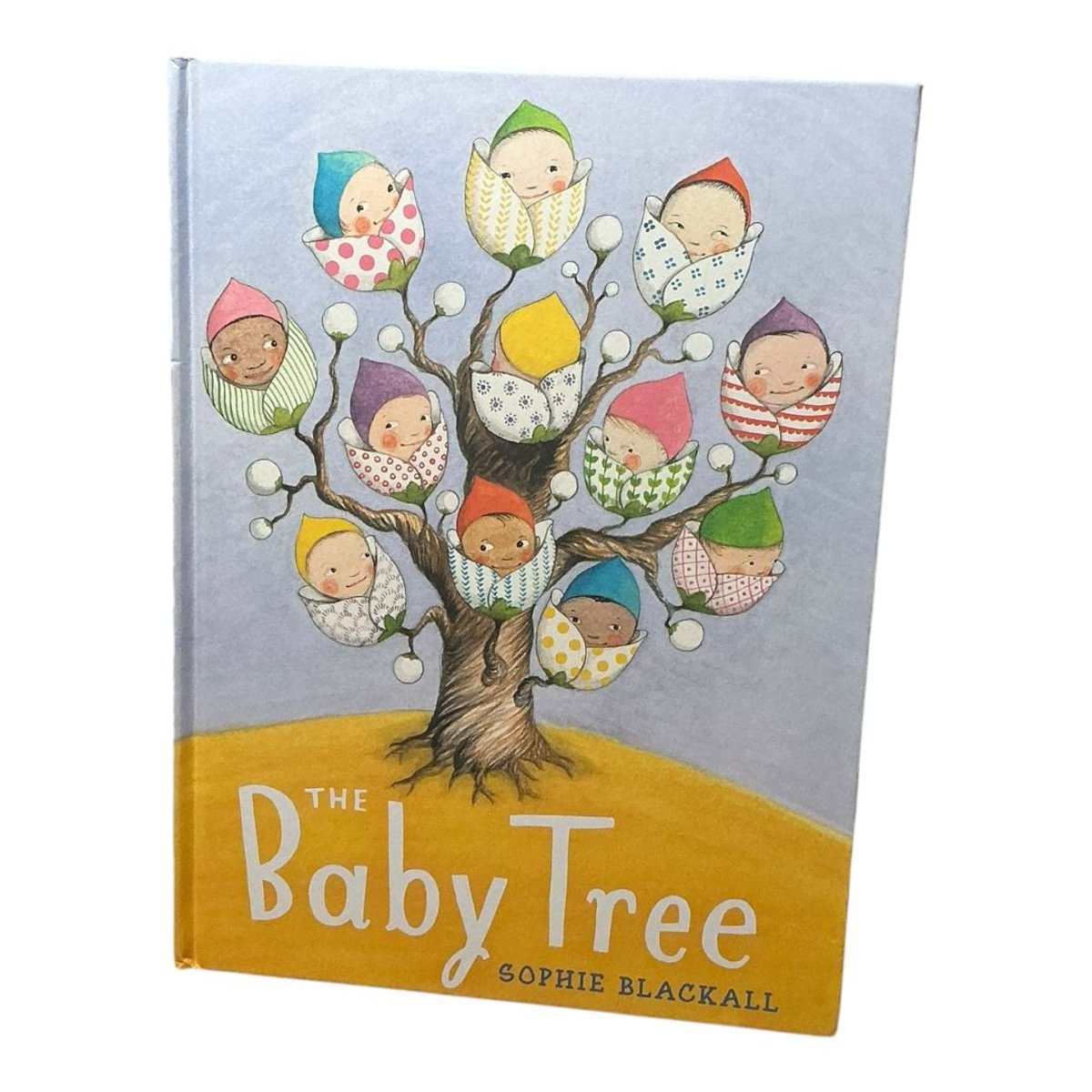 The Baby Tree by Sophie Blackall