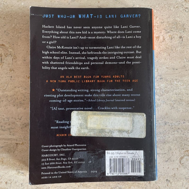 What Happened to Lani Garver by Carol Plum-Ucci, Paperback | Pangobooks