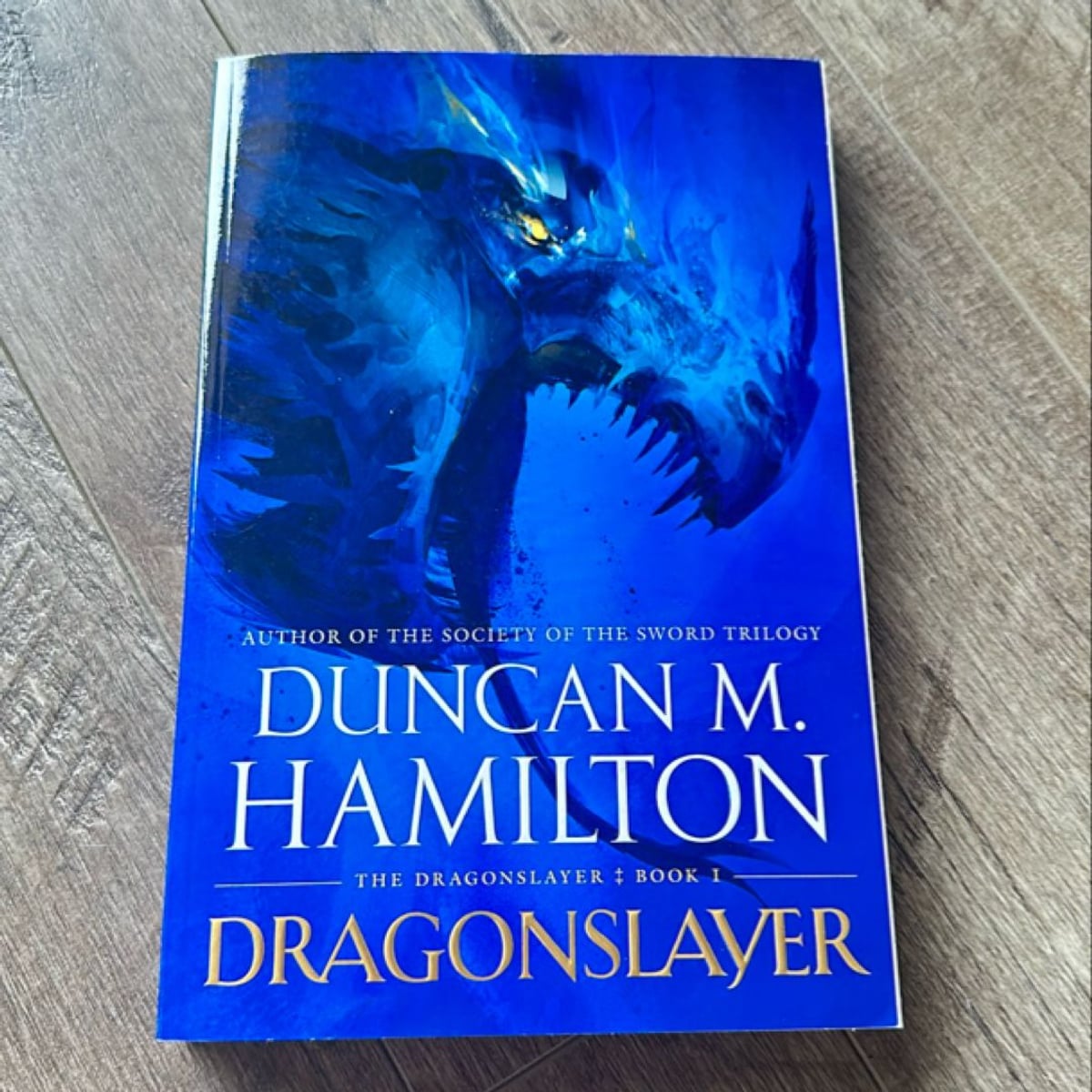 Dragonslayer by Duncan M. Hamilton