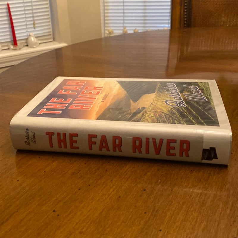 The Far River by Barbara Wood, Hardcover | Pangobooks
