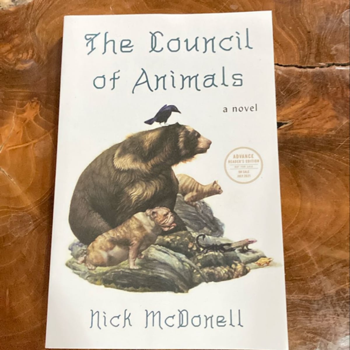 The Council of Animals by Nick McDonell