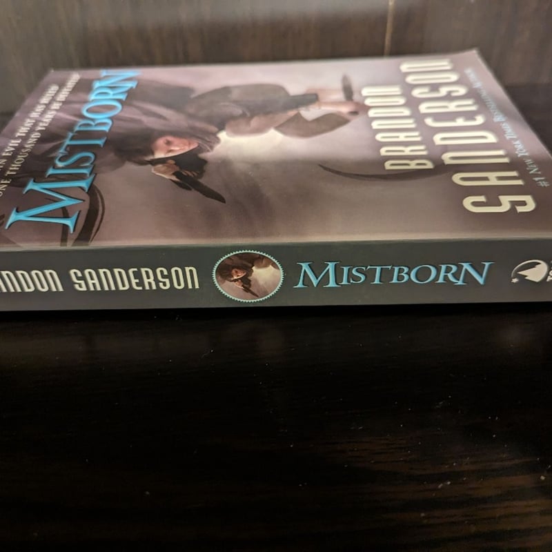Mistborn by Brandon Sanderson, Paperback | Pangobooks