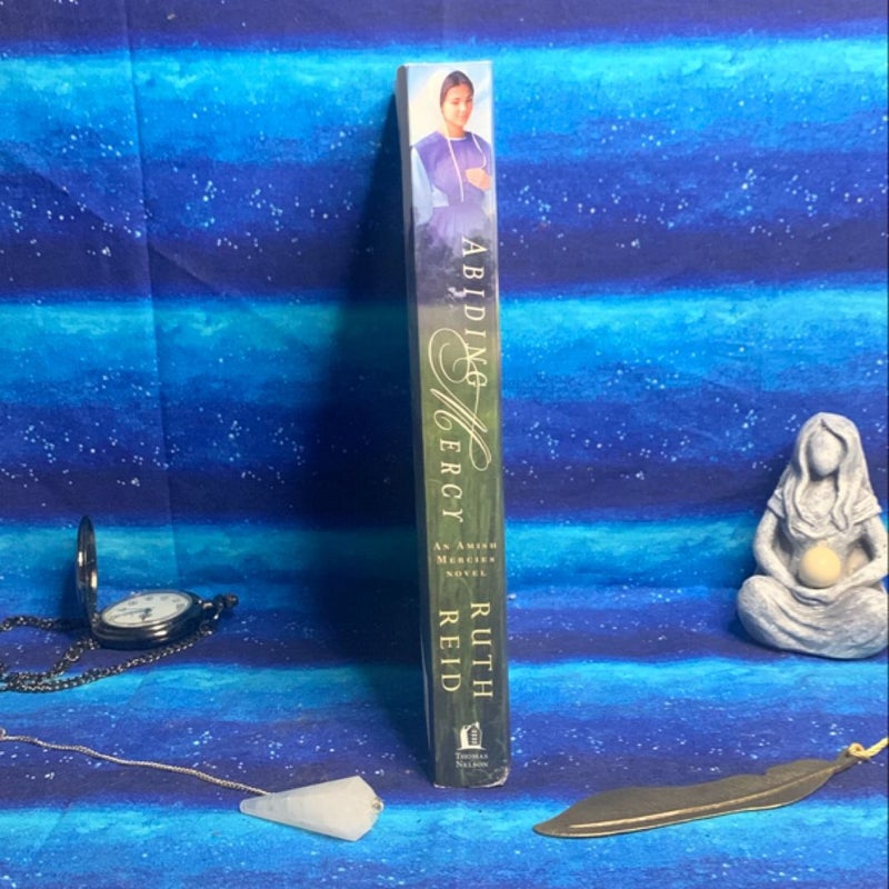 Abiding Mercy by Ruth Reid, Paperback | Pangobooks