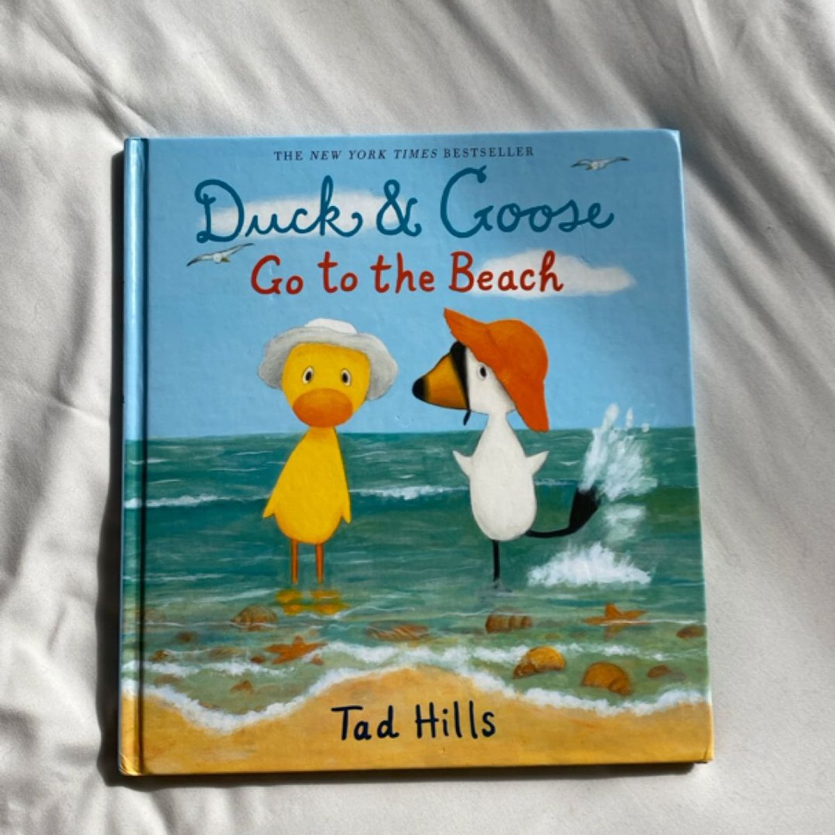 Duck and Goose Go to the Beach by Tad Hills
