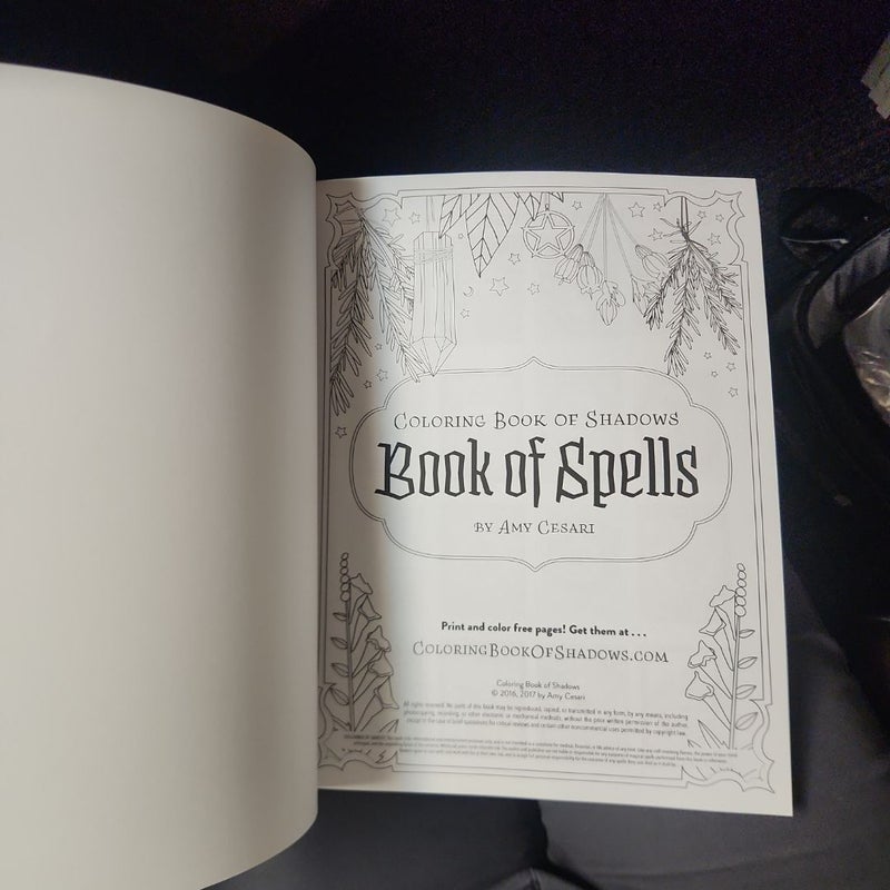 Coloring Book of Shadows by Amy Cesari