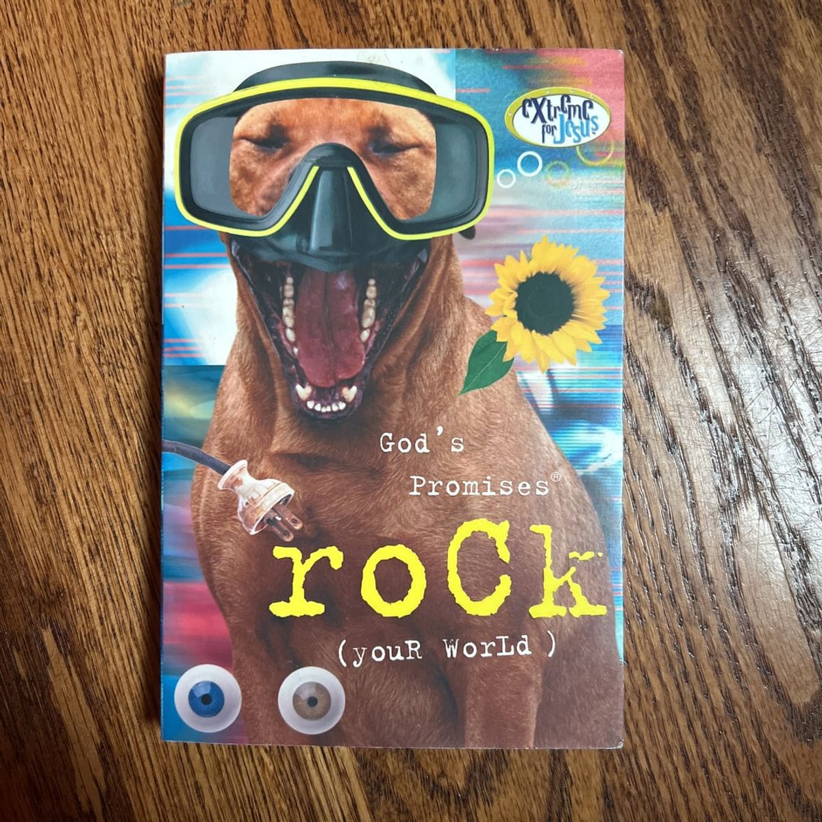 God's Promises Rock by Jack Countryman