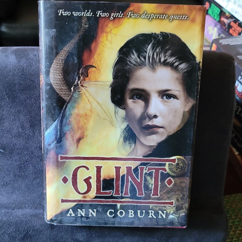 Glint by Ann Coburn
